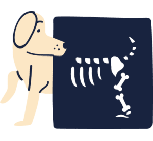 Best Veterinary Hospital In Allen, TX | Allen Family Vet