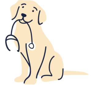 Best Veterinary Hospital In Allen, TX | Allen Family Vet