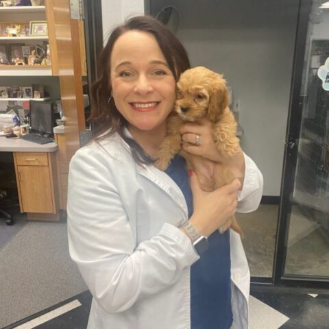 Best Veterinary Hospital In Allen, TX | Allen Family Vet