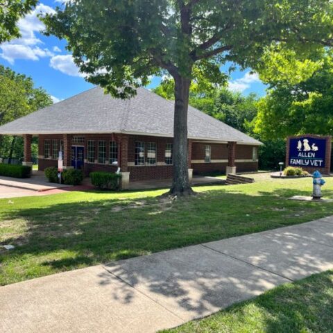 Veterinary Animal Hospital In Allen, TX | Allen Family Vet